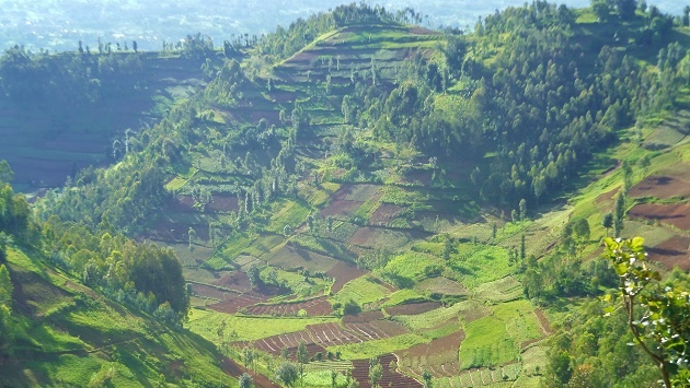 Rwanda: brave and bold moves for the next African hub